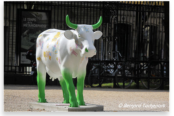 Bordeaux and Cow : la parade des vaches en ville