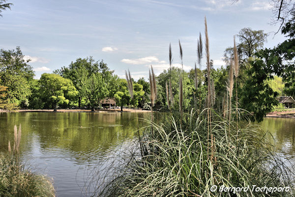 Le lac et la végétation entourant le Parc Bordelais | Photo Bernard Tocheport